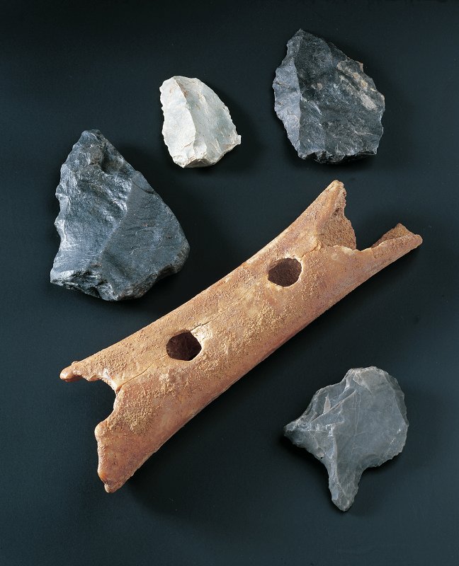 The Divje Babe Flute